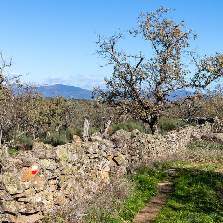 Home - Ambroz - Turismo Ambroz-Cáparra